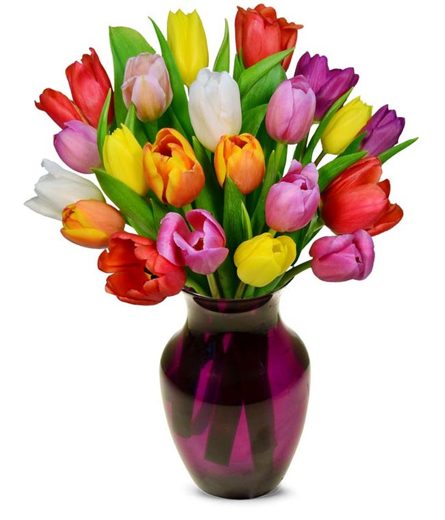 Tulips | Tulips for Delivery | FromYouFlowers