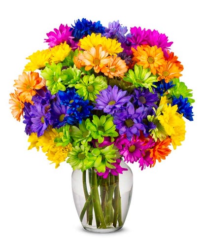 Bright Mod Garden at From You Flowers