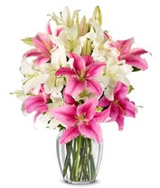 White Lilies | White Lily Arrangements | FromYouFlowersÂ®