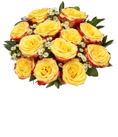Yellow Roses | Yellow Rose Delivery | FromYouFlowers