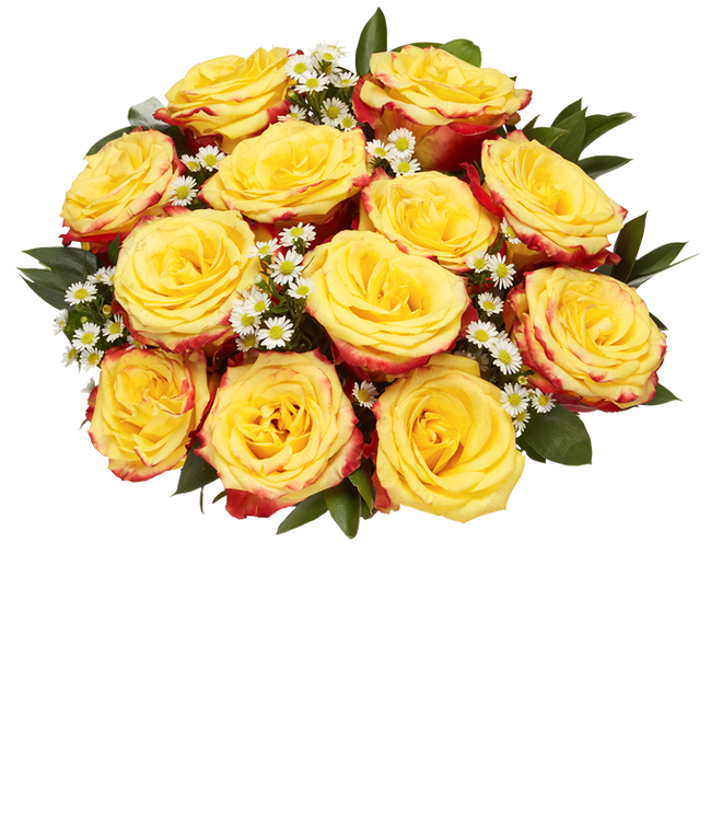 Yellow Roses | Yellow Rose Delivery | FromYouFlowers