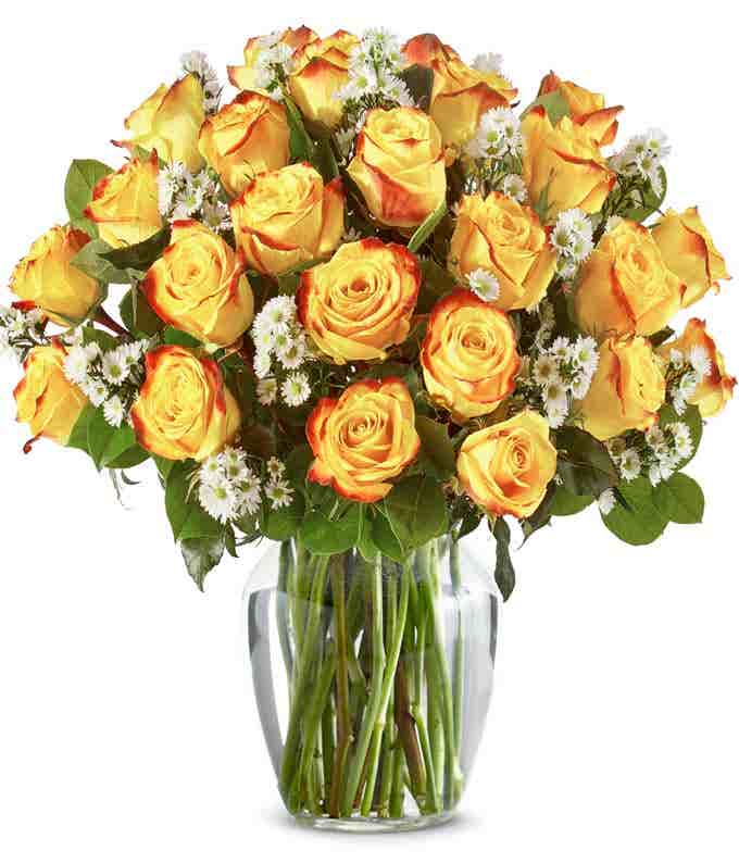 Two Dozen Wild Rainbow Roses at From You Flowers