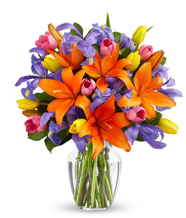 Order Iris Flowers for Any Occasion - From You Flowers