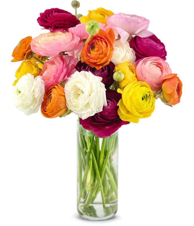 Birthday Flowers for Delivery - FromYouFlowers 3 Birthday Flowers for Delivery - FromYouFlowers 3