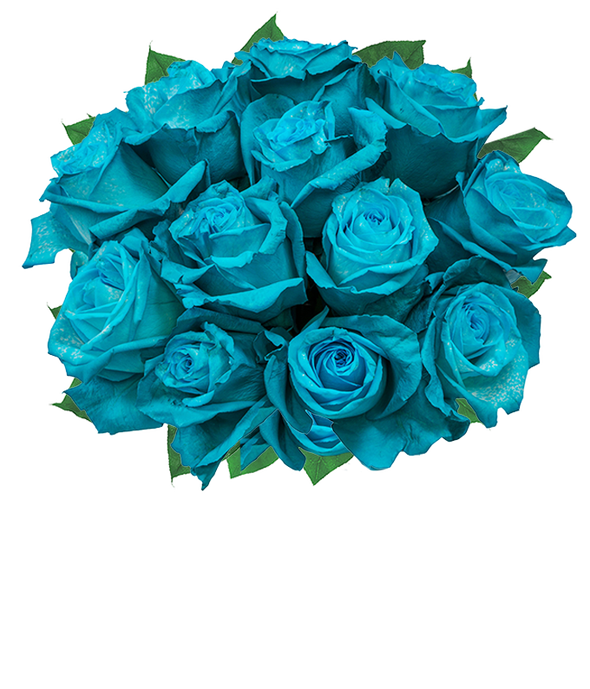 Blue Flower Delivery | Blue Roses