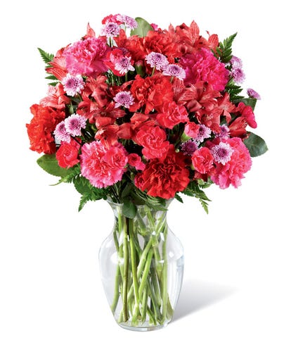 Fresh Carnations for Delivery - FromYouFlowers