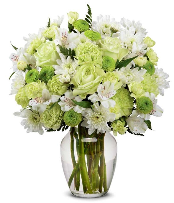 Fresh Carnations for Delivery - FromYouFlowers