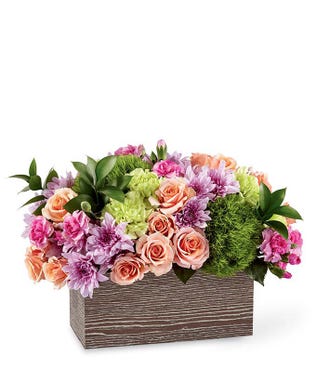Spring Flowers | Spring Flower Delivery