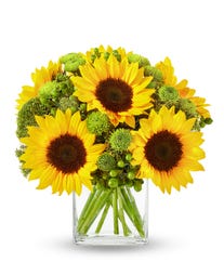 Fayetteville Flower Delivery - FromYouFlowers