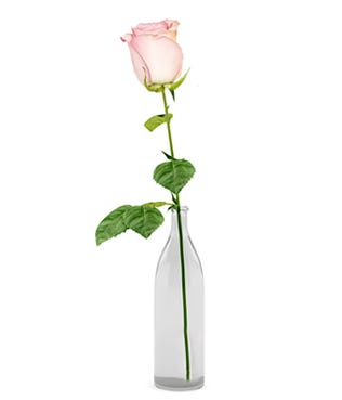 Single Rose | Single Rose Delivery