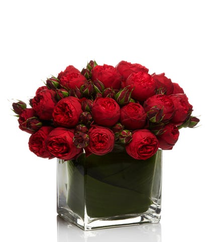 Merlot at From You Flowers