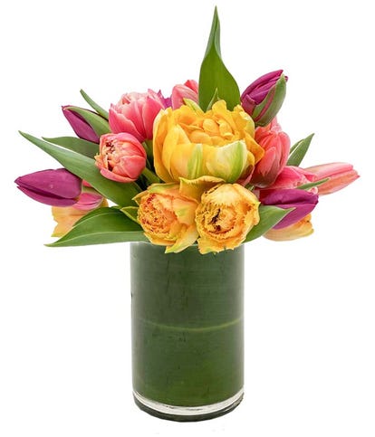 Spring Flowers | Spring Flower Delivery 4