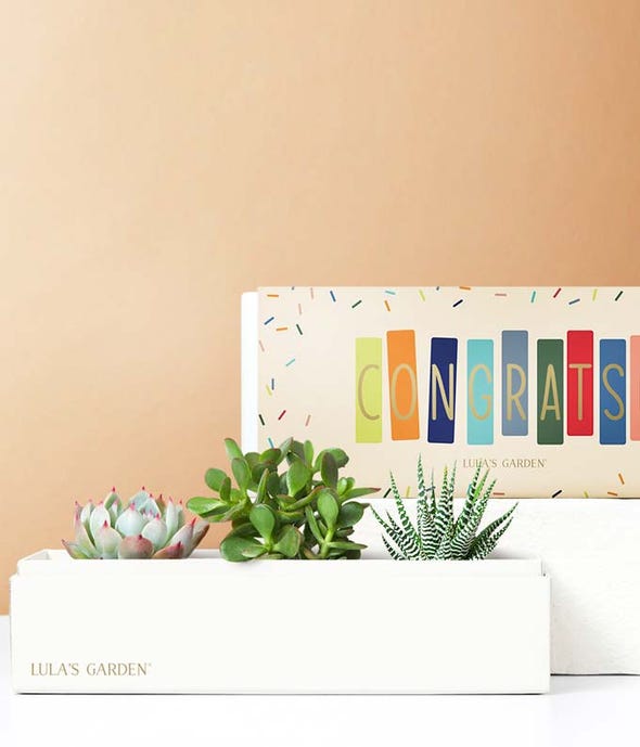 Congratulations Flowers | Congrats Gifts | FromYouFlowers