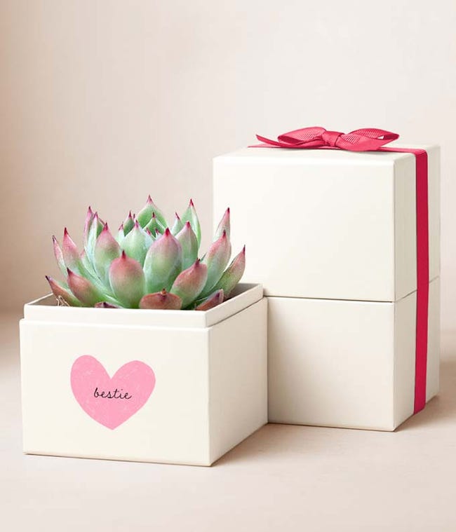 Friendship Flowers | Best Friend Gifts | FromYouFlowers