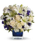 Blue Flower Delivery | Blue Roses