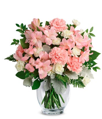 Fresh Carnations for Delivery - FromYouFlowers
