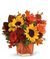 Beautiful Fall Flower Selections - Perfect for Thanksgiving ...