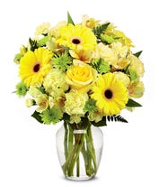 Yellow Roses | Yellow Rose Delivery | FromYouFlowers