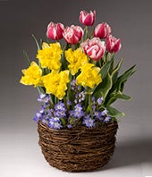 Easter Flowers | Easter Bouquets | FromYouFlowers