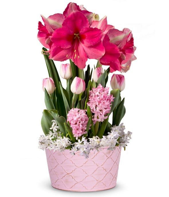 Pink Flowers | Hot Pink Flower Delivery | FromYouFlowers